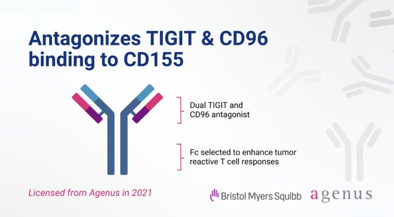 TIGIT bispecific program is advancing in clinical trials for non-small cell lung and gastric ...