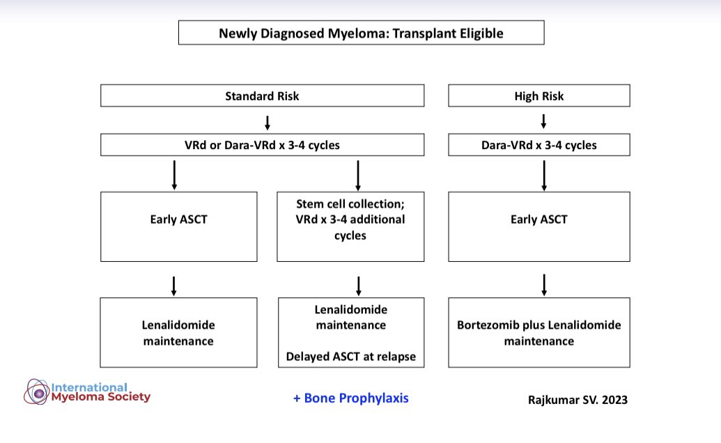 Vincent Rajkumar: How I treat newly diagnosed myeloma - OncoDaily