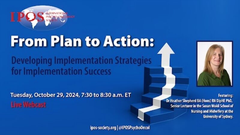 From Plan to Action, Developing Implementation Strategies for Implementation Success - IPOS ...