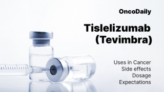 Tislelizumab (Tevimbra): Uses in Cancer: Side Effects: Dosage ...