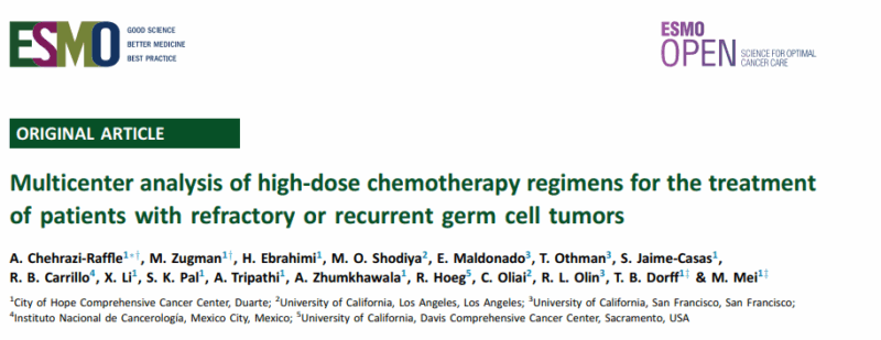 Multicenter Analysis of High-Dose Chemotherapy Regimens For The ...