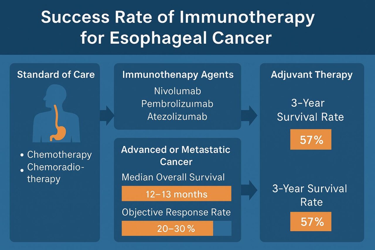 Success Rate of Immunotherapy for Esophageal Cancer: What Patients ...