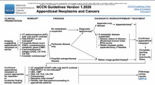 NCCN Guidelines for Appendiceal Cancer: Defining a New Standard of Care ...