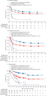 The European Commission Approves Breyanzi for Relapsed/Refractory ...