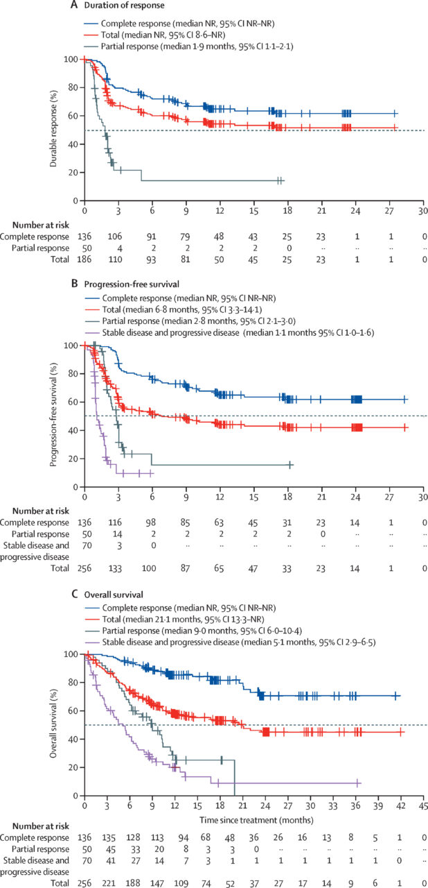 The European Commission Approves Breyanzi for Relapsed/Refractory ...