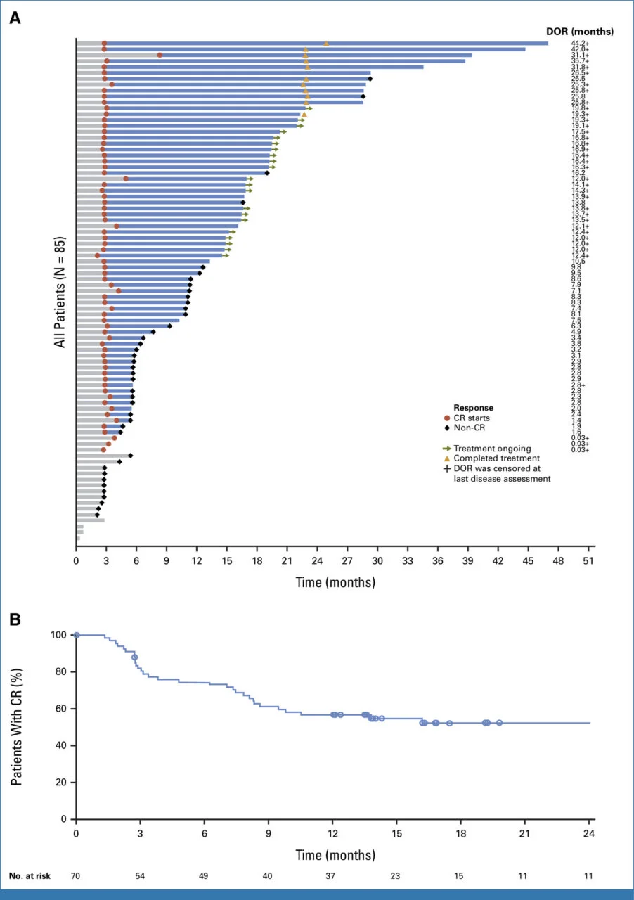 SunRISe-1 Study: TAR-200 vs PD-1 Immunotherapy in BCG-Unresponsive High ...